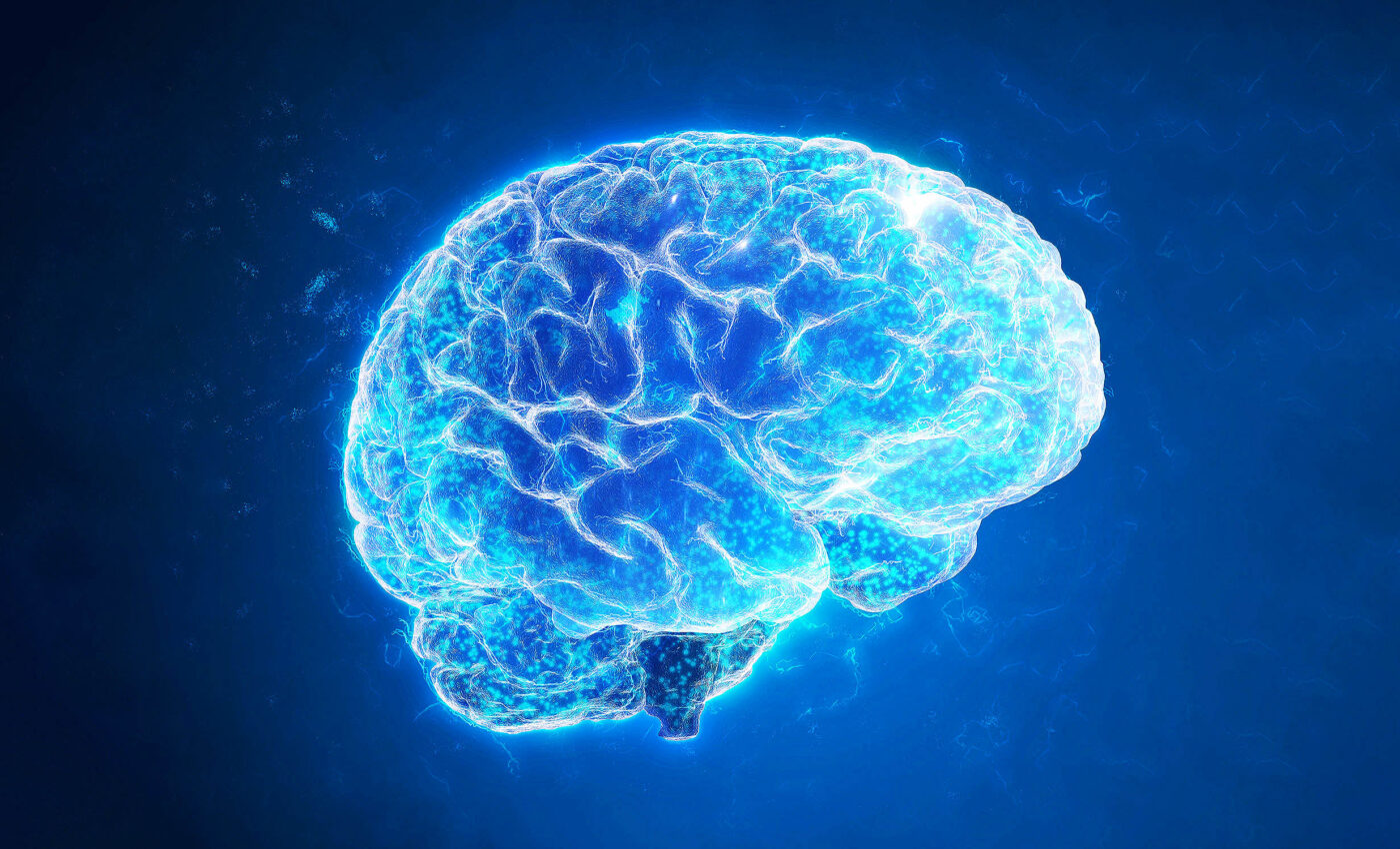 Largest 3D map of human brain created by Harvard and Google - Earth.com