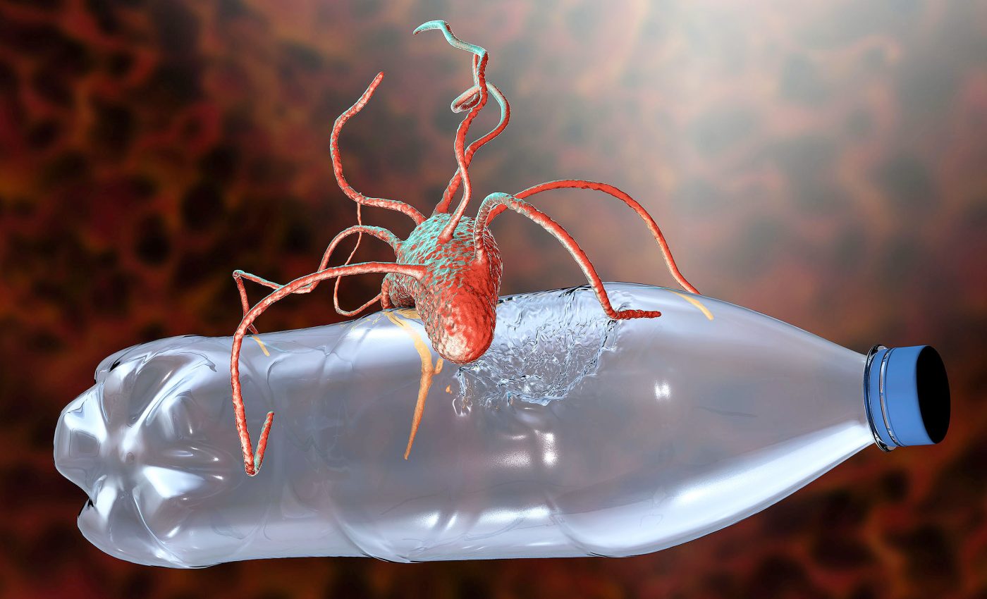 Bacteria discovered that destroys PFAS 'forever chemicals' - Earth.com