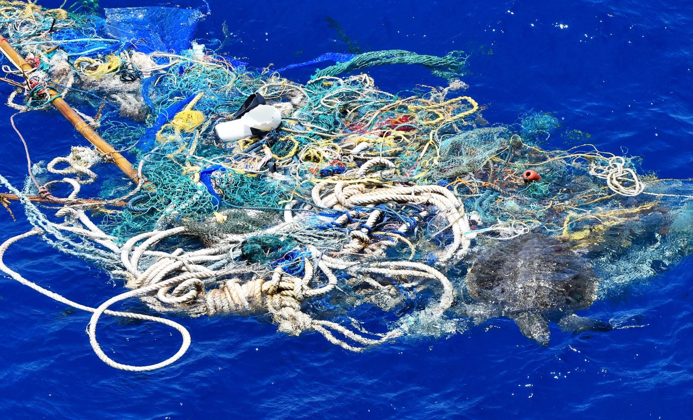 Some scientists call for a halt to cleaning plastic from oceans - Earth.com