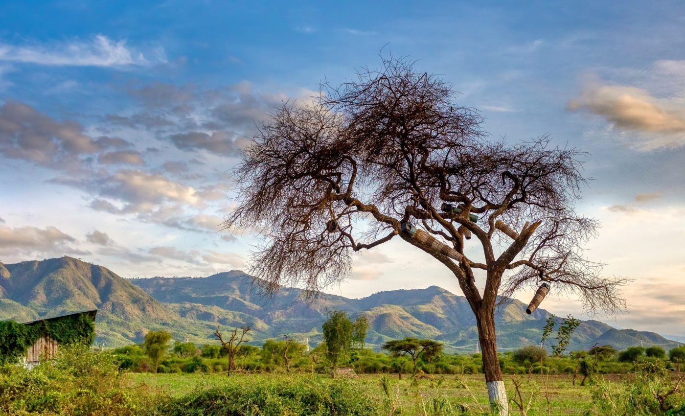 Why early human migrations out of Africa failed to take hold - Earth.com