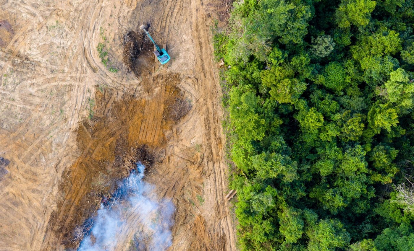 Deforestation is drying the Amazon more than climate change - Earth.com